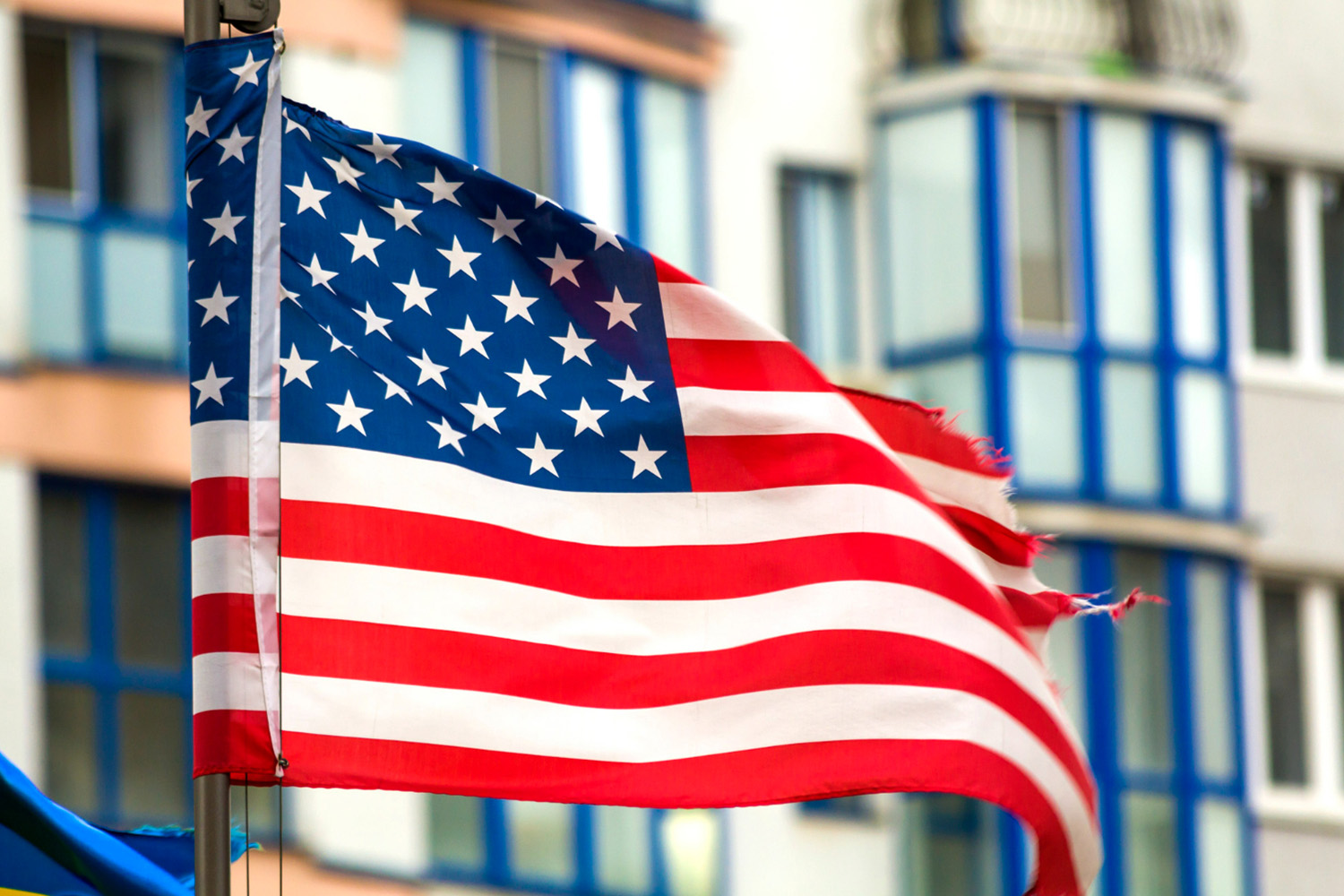 Your Guide To Choosing The Best SEC Compliance Software | IRIS CARBON®