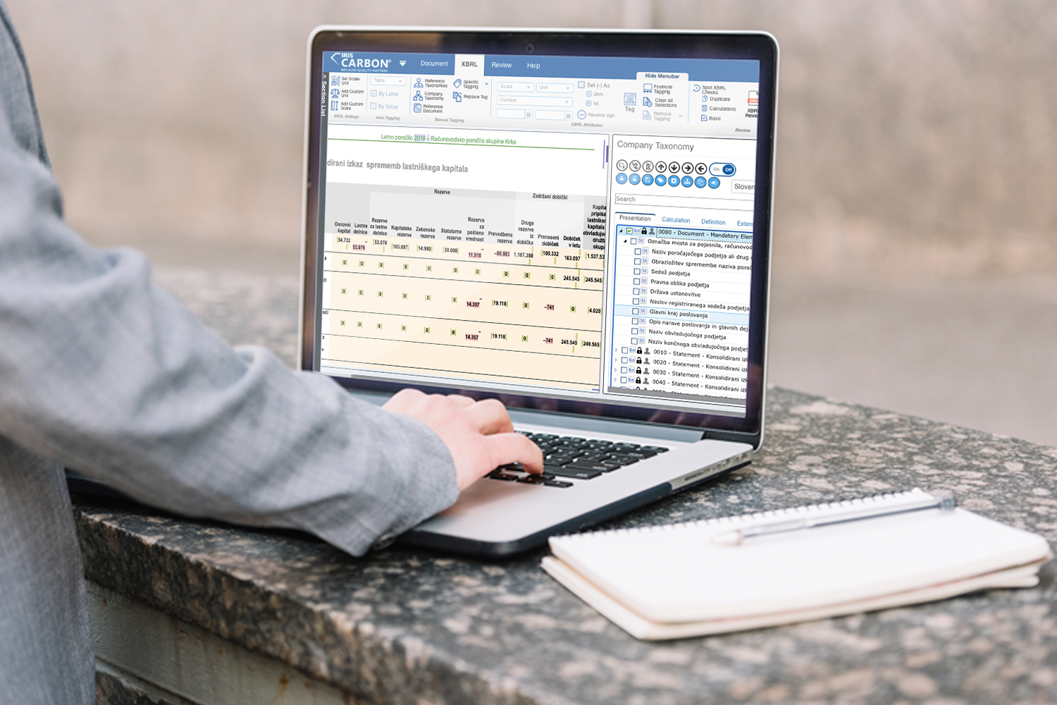 Take the fear out of your ESEF Compliance | IRIS CARBON®