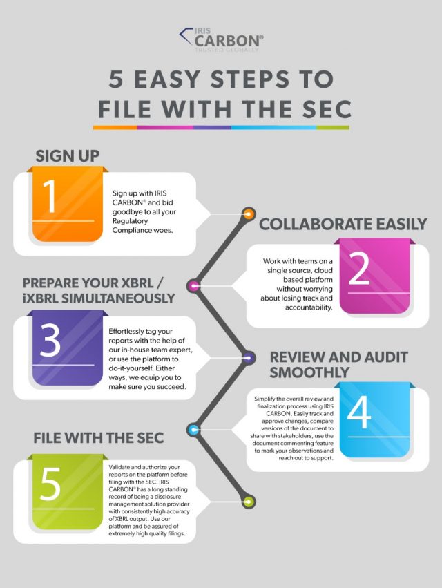 SEC iXBRL Reporting In 5 Easy Steps - IRIS CARBON®