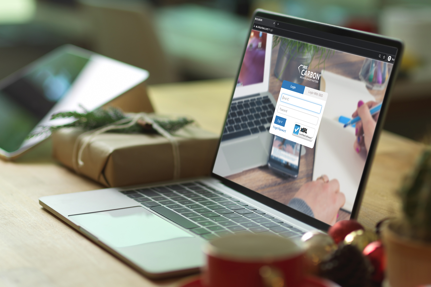 IRIS CARBON®: New and Upgraded Version