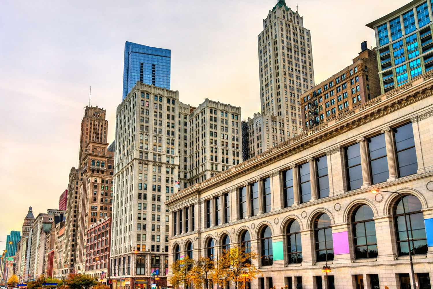 CAFR – What Is It and Why Should You Care? | IRIS CARBON®