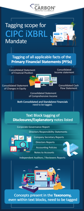 Scope of Tagging for the CIPC iXBRL Mandate | IRIS CARBON®