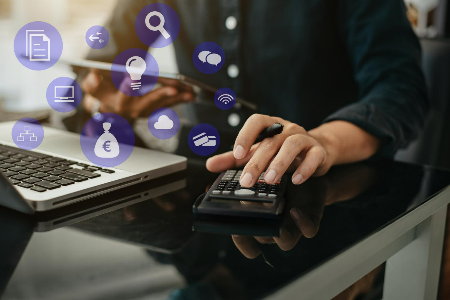 Annual Comprehensive Financial Reports (ACFRs) | IRIS CARBON®