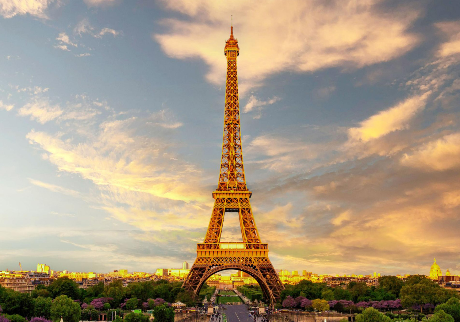 ESMA Guidelines and Validations Guide | IRIS CARBON®