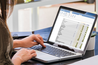 IRIS CARBON® Products - Tools to Simplify Financial Reporting