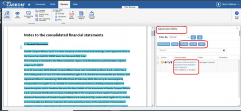 Block Tagging 101 for All ESEF iXBRL Filers | IRIS CARBON®