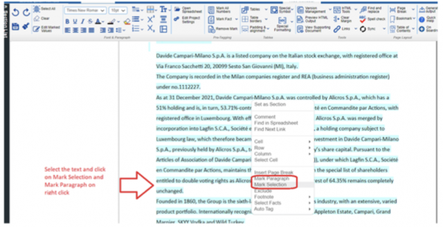 Block Tagging 101 for All ESEF iXBRL Filers | IRIS CARBON®
