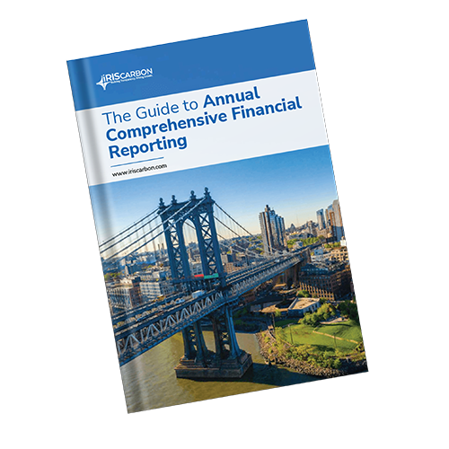 The Guide to Annual Comprehensive Financial Reporting