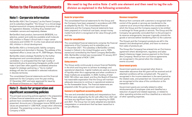 ESEF Mandate: Simplifying Reporting with Block Tagging