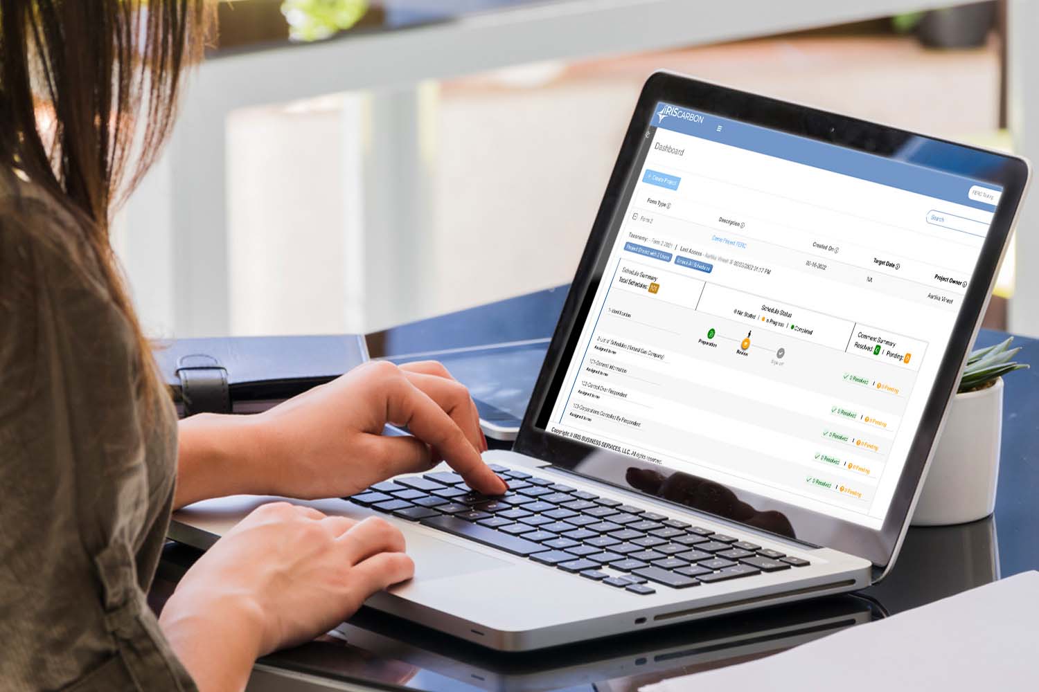Preview Schedules Feature of IRIS CARBON® for FERC Filing