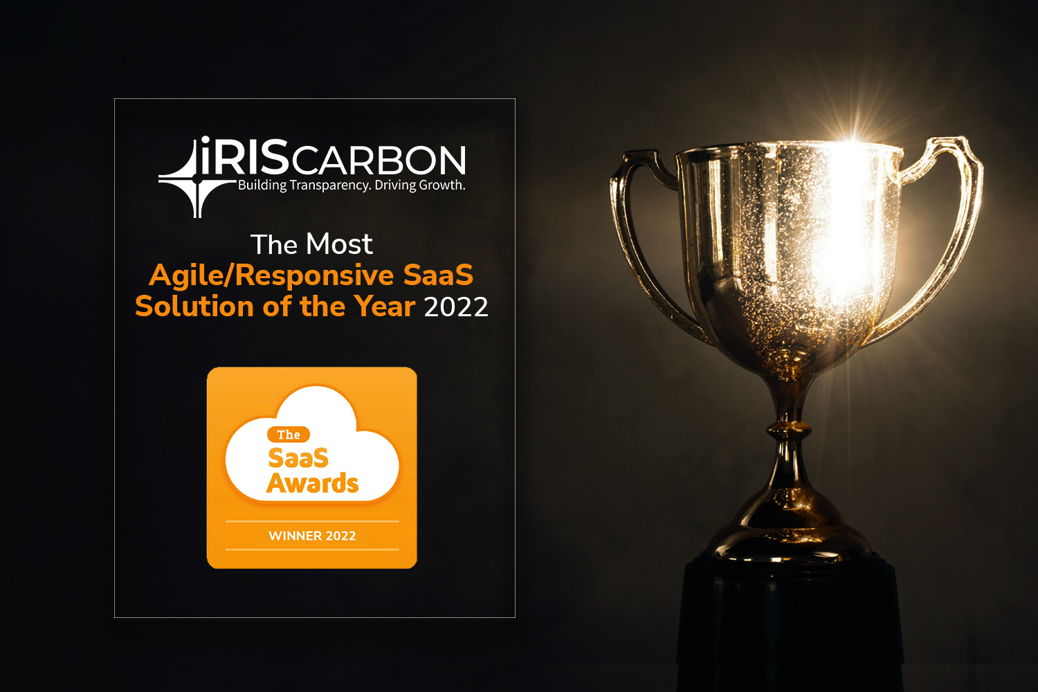 The Most Agile/Responsive SaaS Solution of the Year