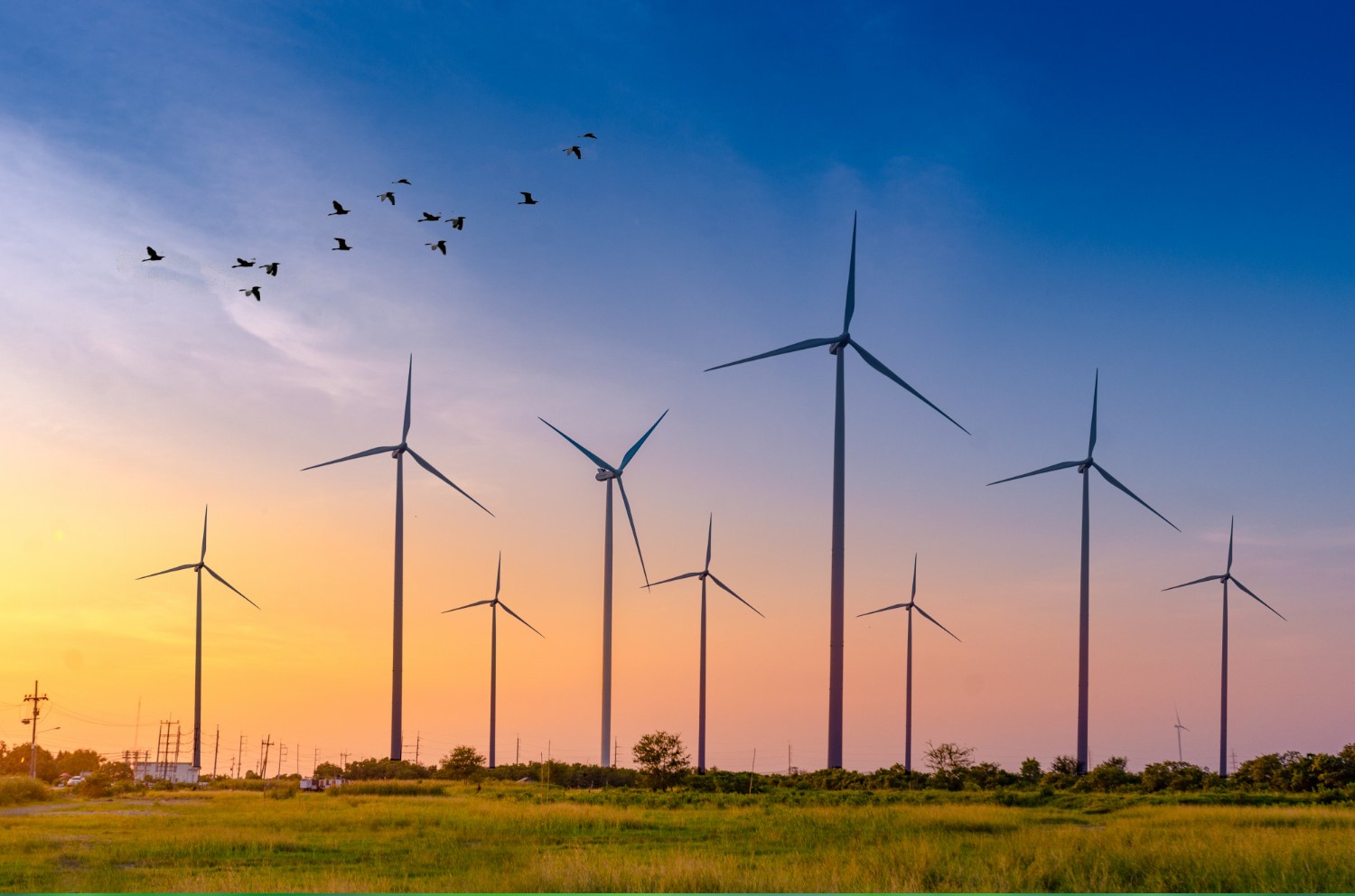 UN SDG: How Companies Can Make a Difference | IRIS CARBON®