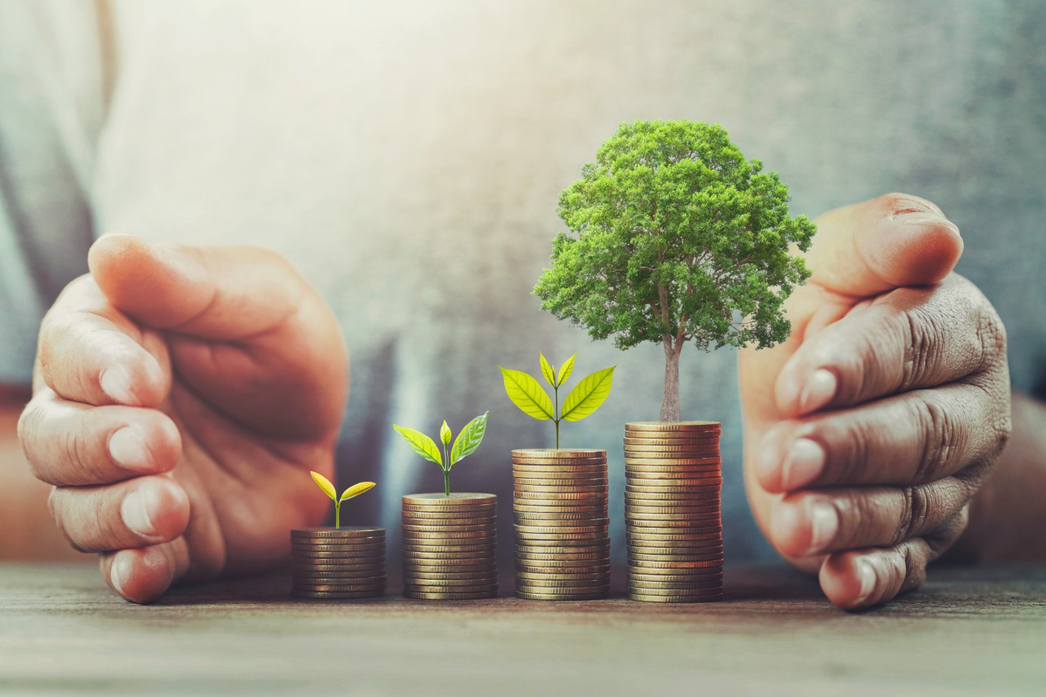 ESG Investing for Beginners: Key Concepts and Strategies | IRIS CARBON®