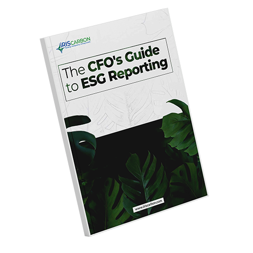 The CFO's Guide to ESG Reporting